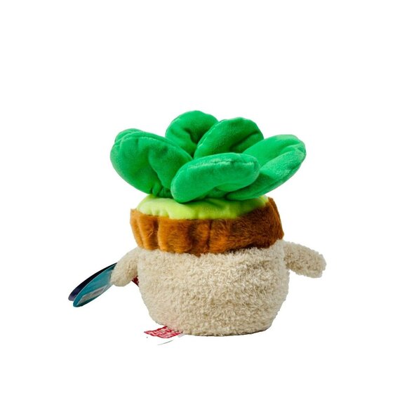 Kellytoy | Toys | Bumbumz 75 Stu The Succulent Plush Toy Gardenbumz ...
